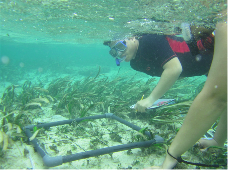 Coral reef monitoring training, Science Sunday this weekend - KUAM.com ...