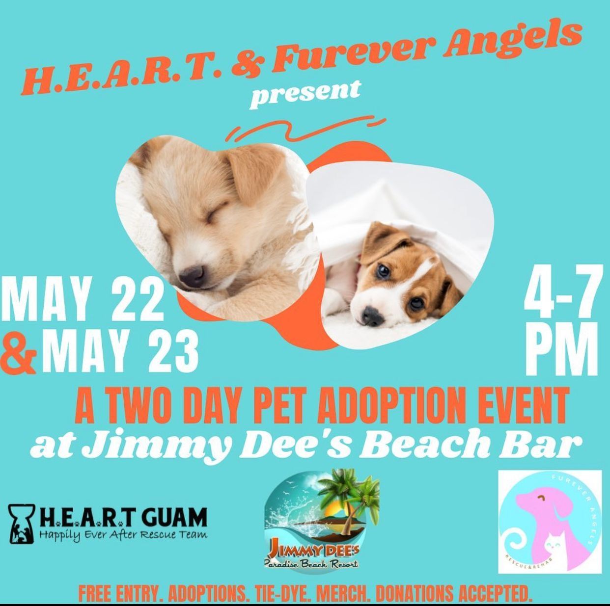 Find your forever friend this weekend at H.E.A.R.T & Furever Angels pet ...