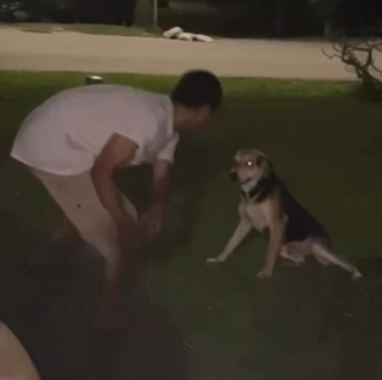 Teens, 19 and 13, accused of dog beating captured in video - KUAM.com ...