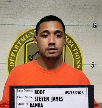 Steven Root charged with family violence, arson after incident at ...