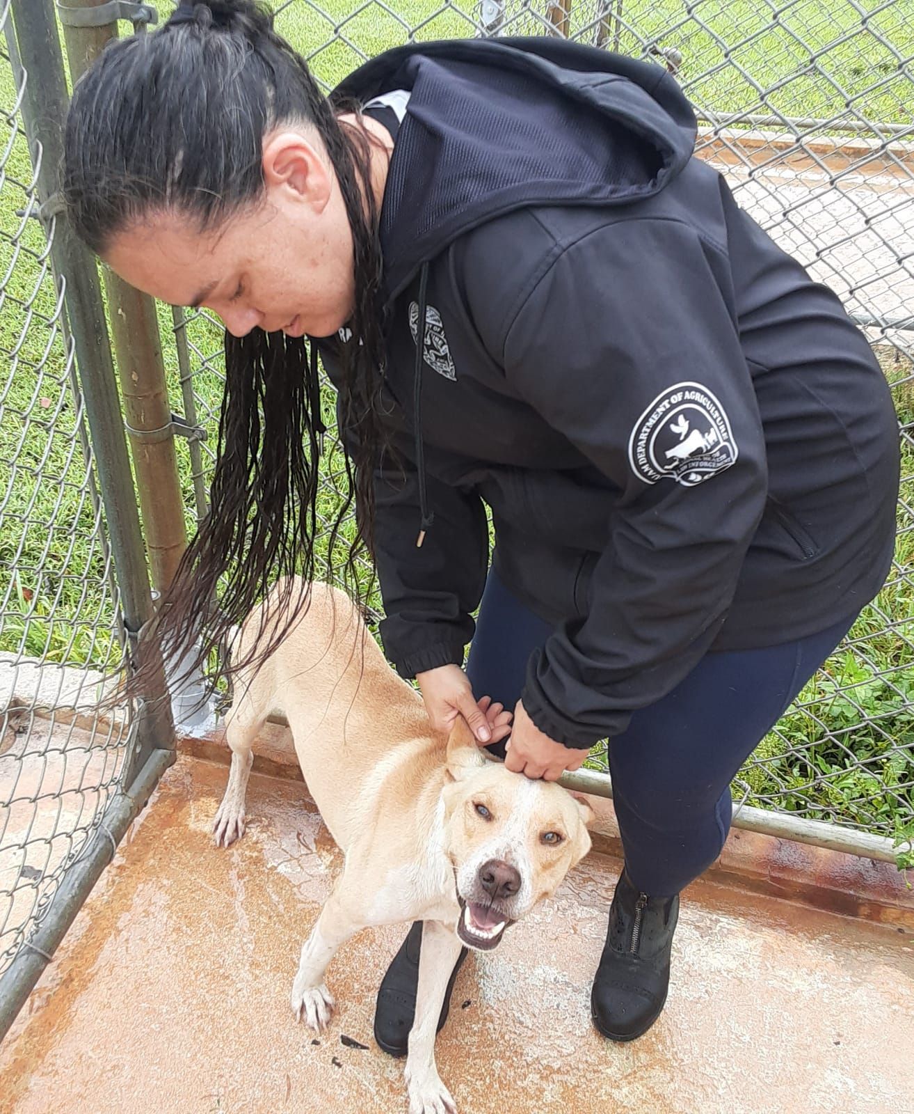 Agriculture's Animal Health Division limits operations - KUAM.com-KUAM ...