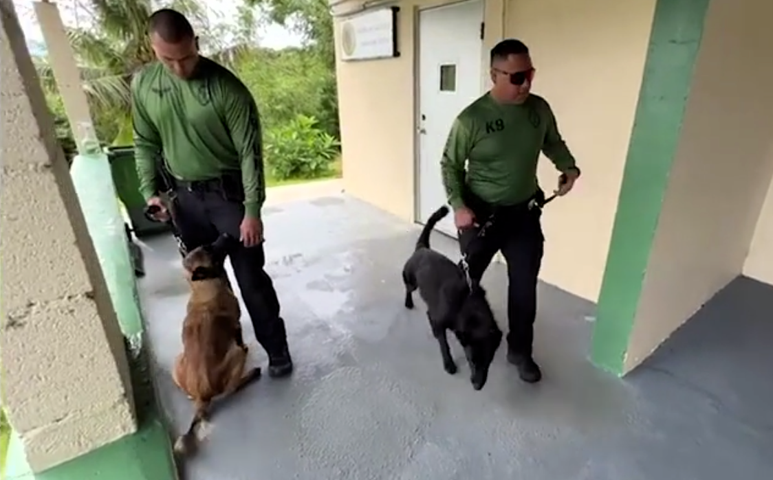 New K9 unit at the local prison to combat contraband smugglers - KUAM ...