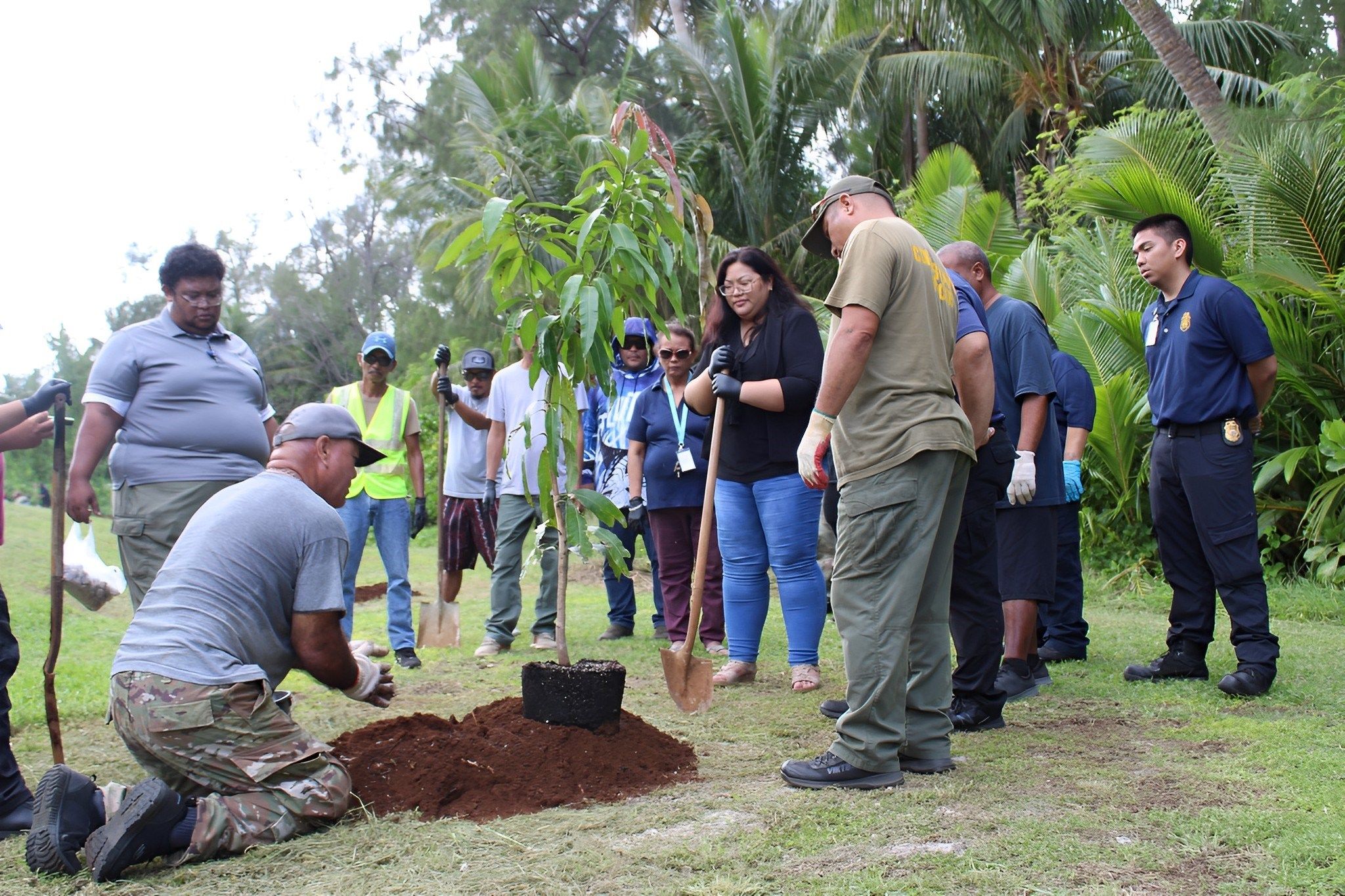 Rota plants over 200 fruits trees in 2023 - KUAM.com- KUAM News: On Air ...