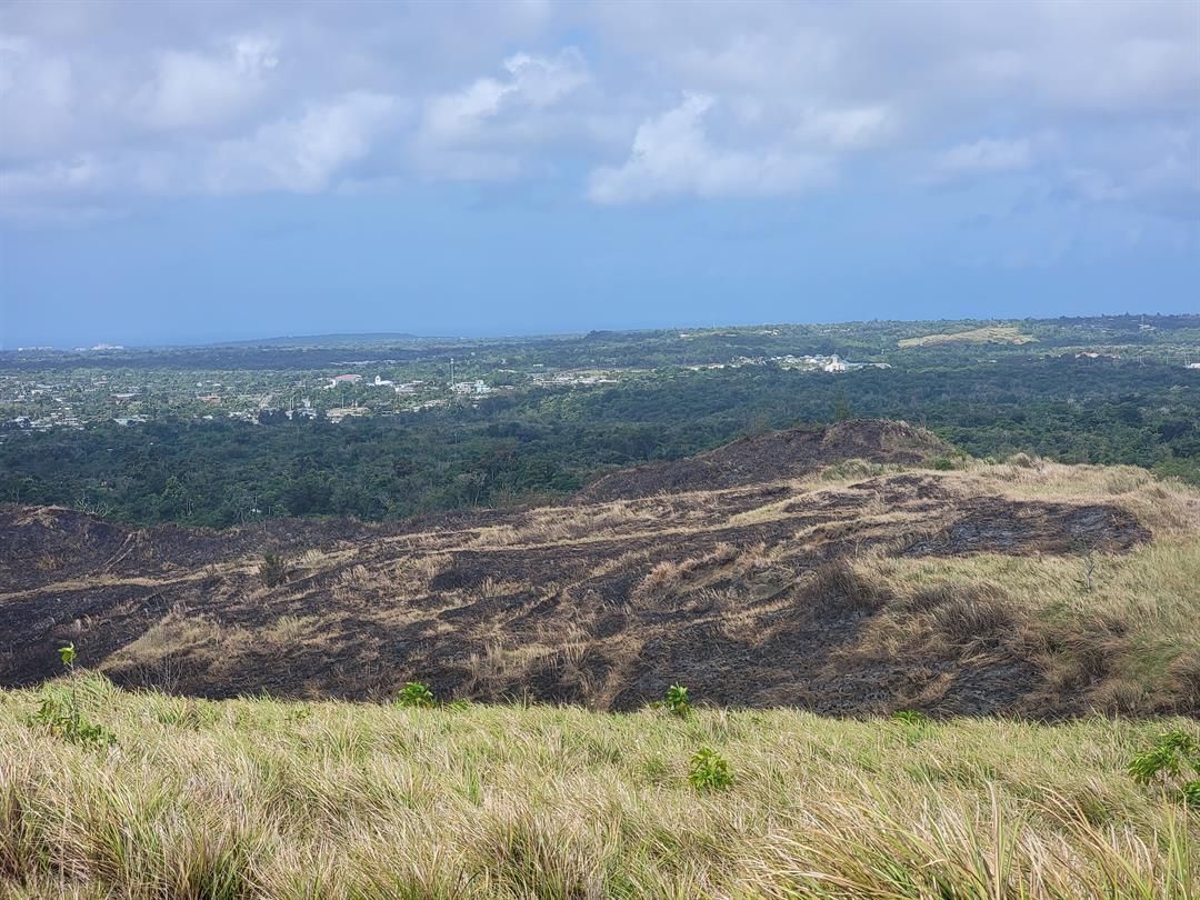 Increased grass fires cause 'significant damage' from north to south ...