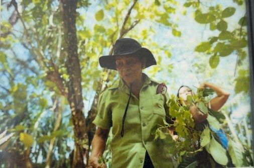 Honoring healing hands: “Mama Chai” receives CAHA masters award - KUAM ...