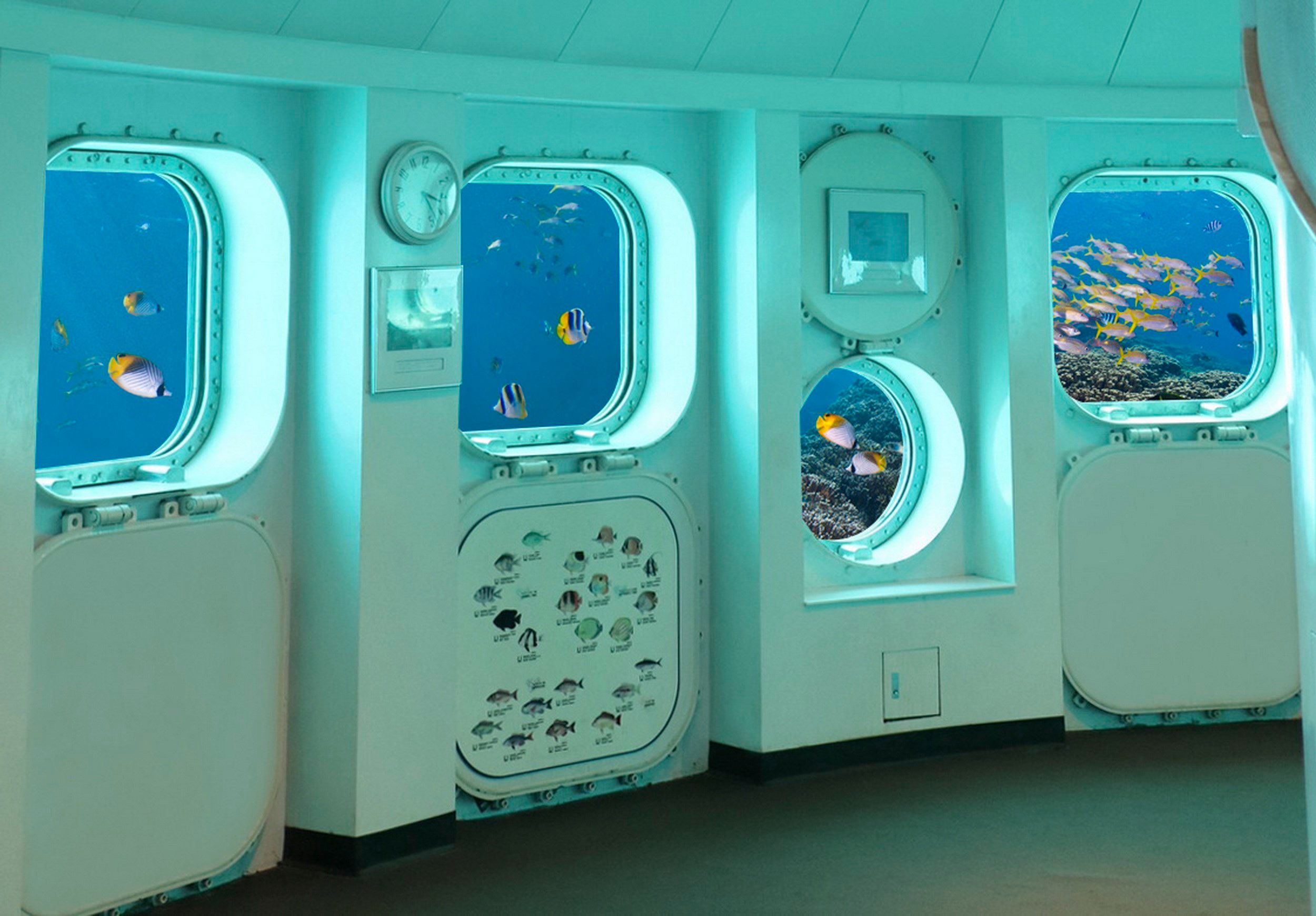 Fish Eye Marine Park Observatory reopens with crystal clear views ...